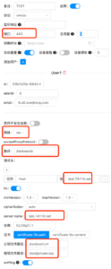 HK IPv6 Only VPS搭建x-ui并套用Cloudflare CDN教程 - Other - Hello New World